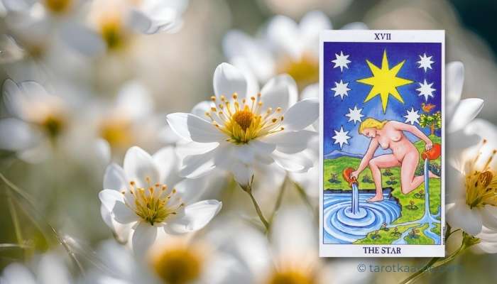Betekenis van de Ster in je tarotlezing